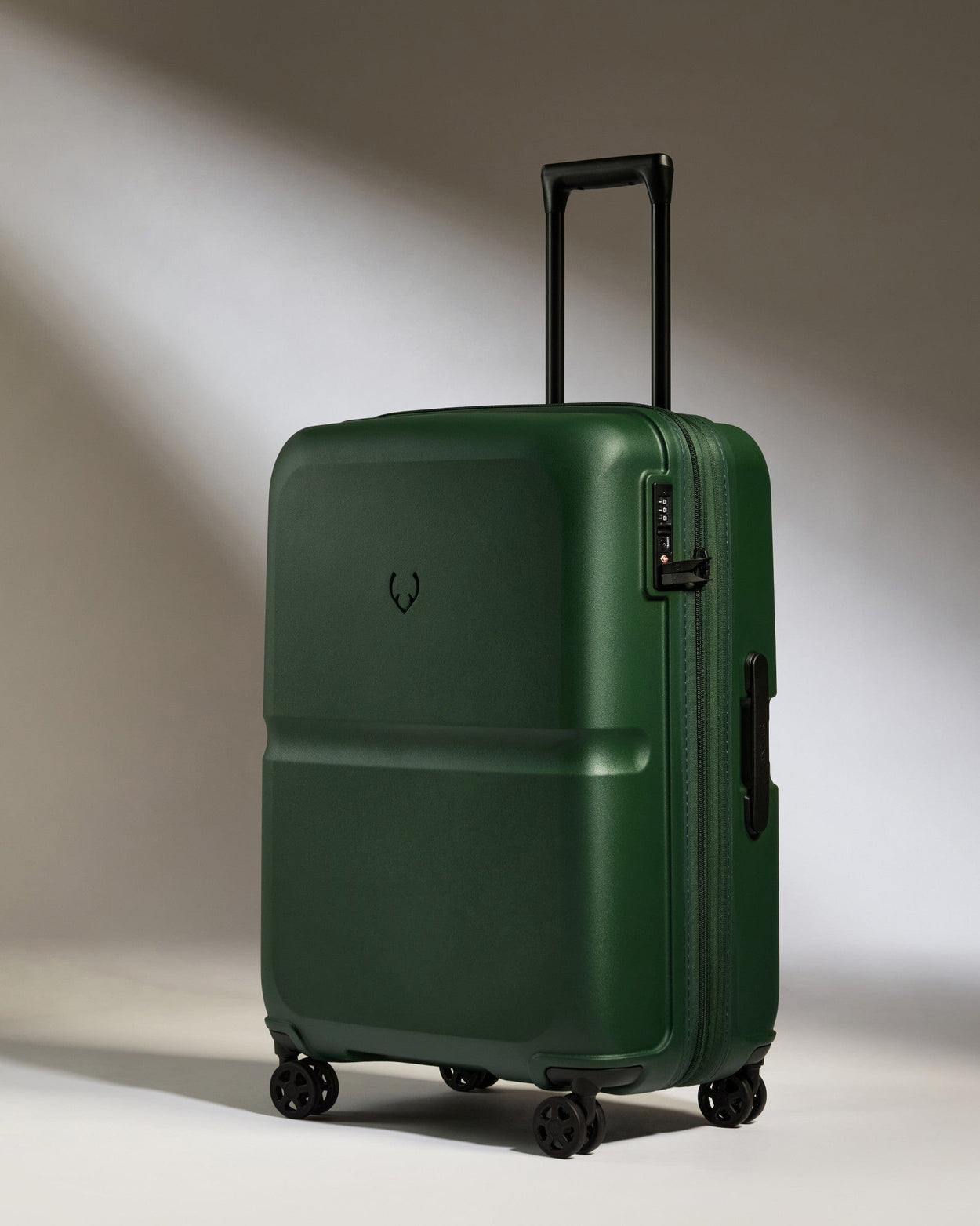 Suitcase Set in Green - Single Stripe | Cabin Luggage & Large Suitcases ...